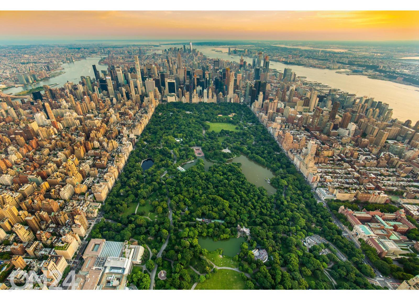 Isekleepuv fototapeet New York Central Park ED-460562 - ON24 Home & Living