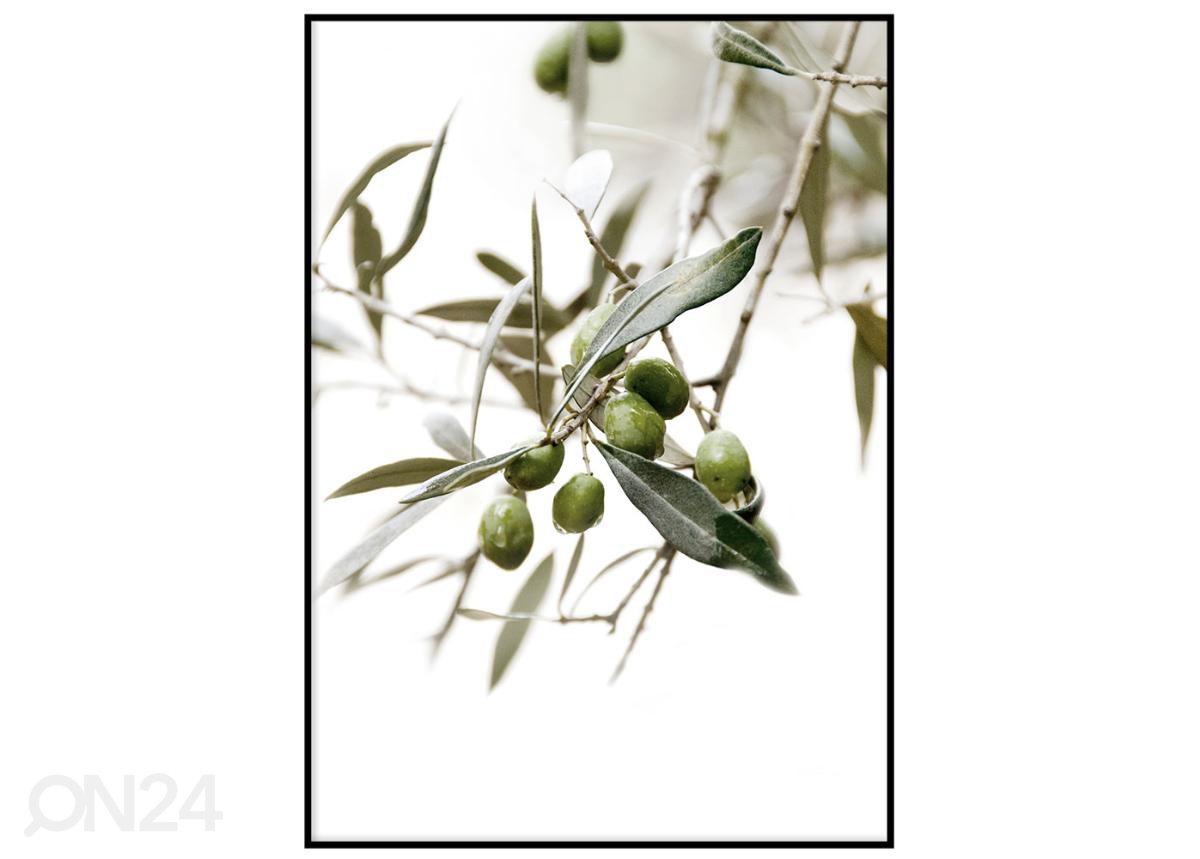 Poster Oliivid II 21x30 cm WA-489073 - ON24 Home & Living