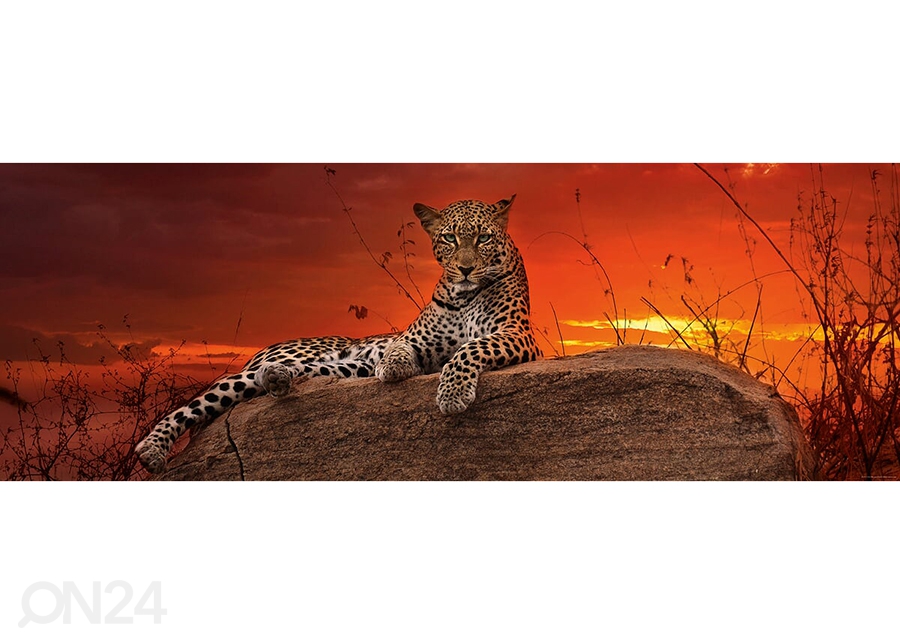 Pusle Red dawn 2000 tk M1-248054 - ON24 Home & Living