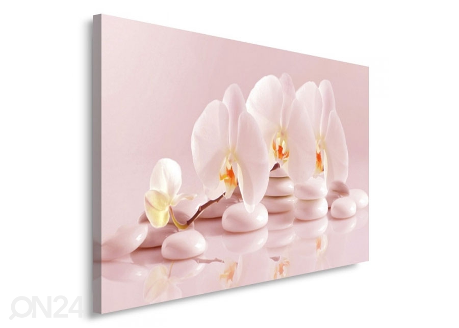 Seinapilt Orchid 50x70 cm ED-153746 - ON24 Home & Living